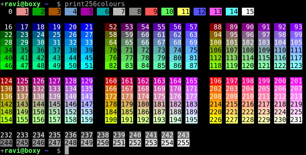 Linux 256 CSDN 
