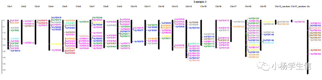 seqkit根据基因id_基因家族成员的鉴定/基因在染色体上的位置_weixin_39766109的博客-CSDN博客