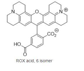 2891791-11-8 (6位)； 2196185-85-8 (5位)，6-Rhodamine X carboxylic acid，6 ...