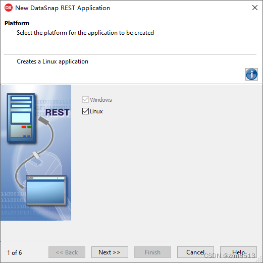 使用DATASNAP开发RESTFUL服务_delphi datasnap 服务器端开发-CSDN博客