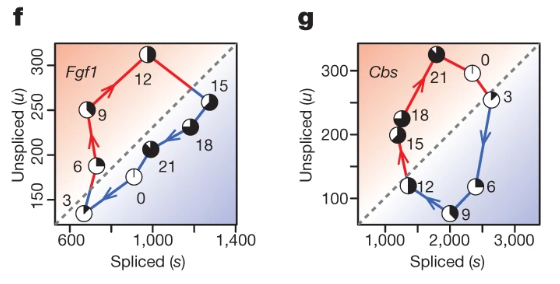 2020-011 RNA velocity of single cells_rna velocity的方向-CSDN博客