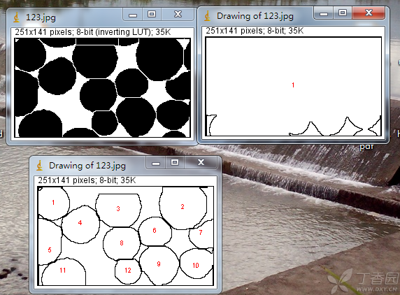 java使用imagej_【原创】imagej使用达人指南，分享给大家！-CSDN博客