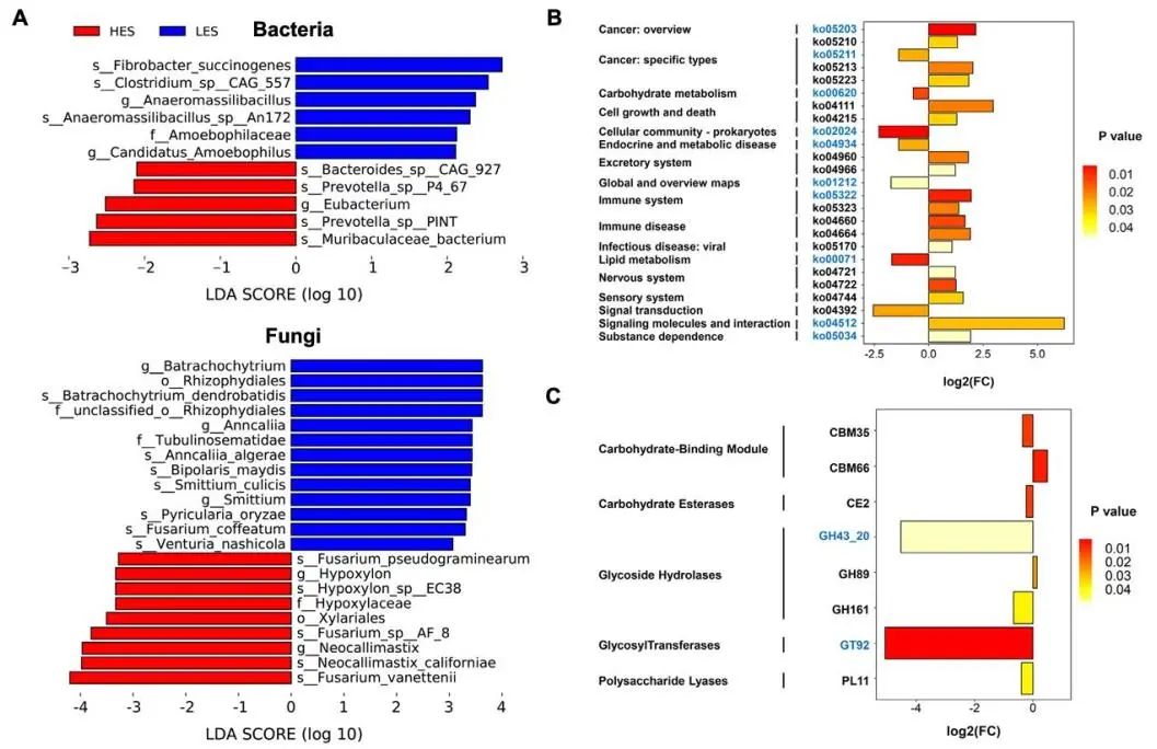 Microbiome | 西北农林科技大学姚军虎团队解析青年奶山羊结肠微生态失调的潜在机制...-CSDN博客