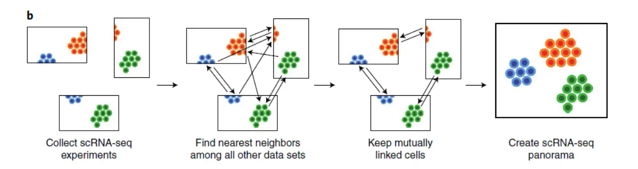 10X单细胞（10X空间转录组）批次去除（整合）分析之Scanorama_空间转录组合并去批次-CSDN博客