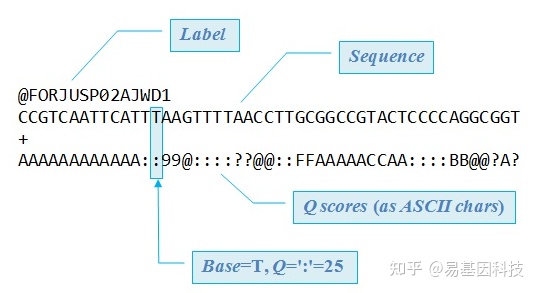 易基因｜一文读懂精准简化基因组甲基化测序(RRBS+oxRRBS)分析怎么做_rrbs测序结果怎么看-CSDN博客