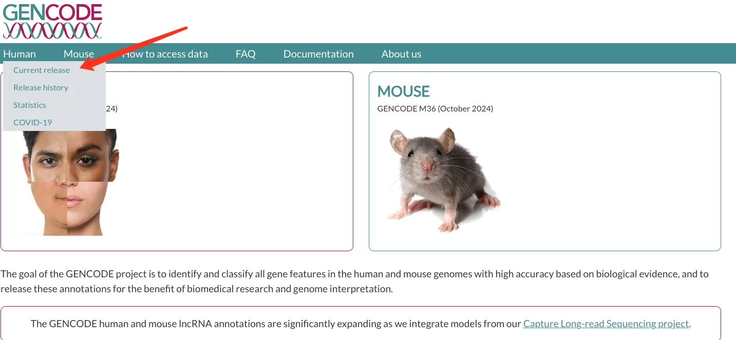 Chip-seq上游分析流程学习(二)_chipseq分析代码-CSDN博客
