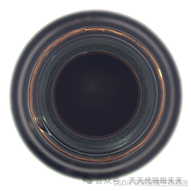 如何使用C#实现Padim算法的训练和推理_var indices = nonzero(preds)[tensorindex.ellipsis ...