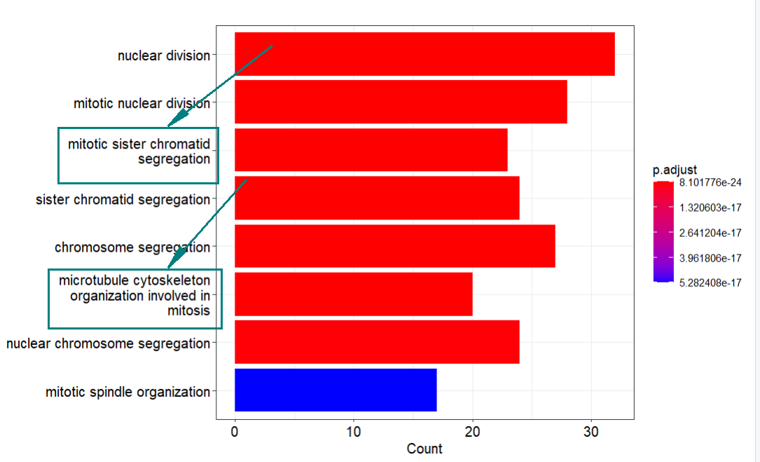 Y叔的enrichplot画图是如何将y轴text文本换行的_barplot如何自动换行-CSDN博客