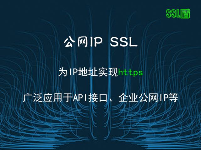 IP申请ssl证书教程_局域网ip申请ssl证书-CSDN博客