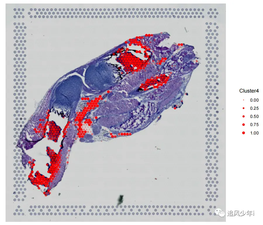 10X空间转录组数据分析之细胞百分比饼图的绘制_怎么更改空间转录组的图像的配色-CSDN博客
