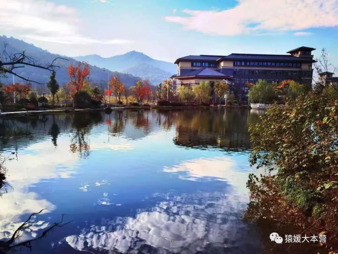 002-react项目入口文件-CSDN博客