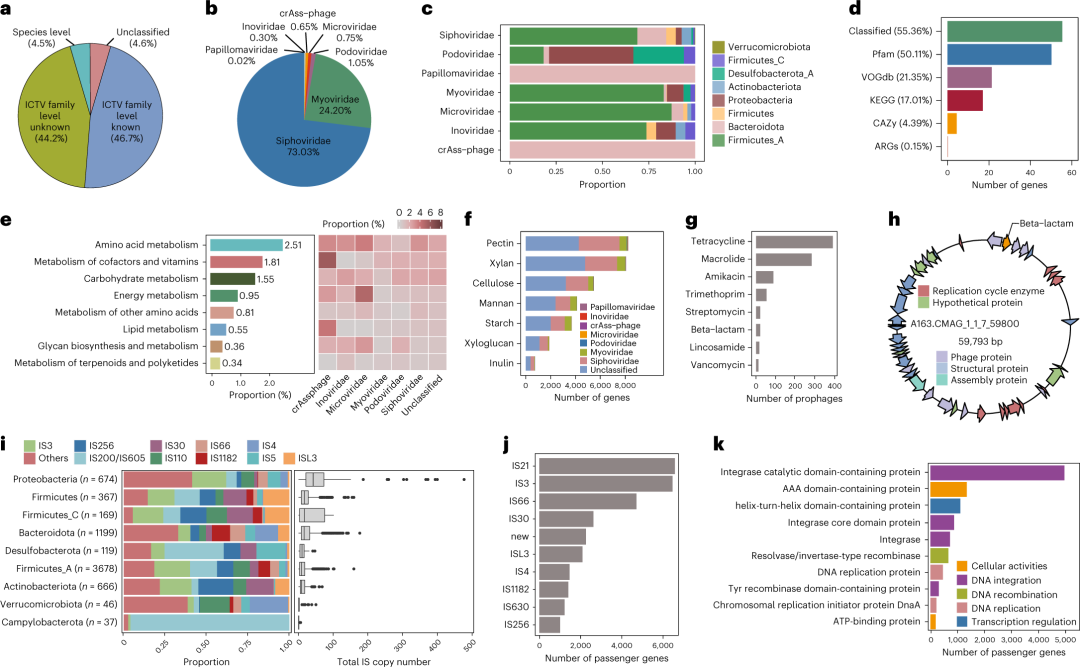 Nat Microbiol | 内农大张和平团队新突破—高分辨率下的人类肠道微生物组-CSDN博客