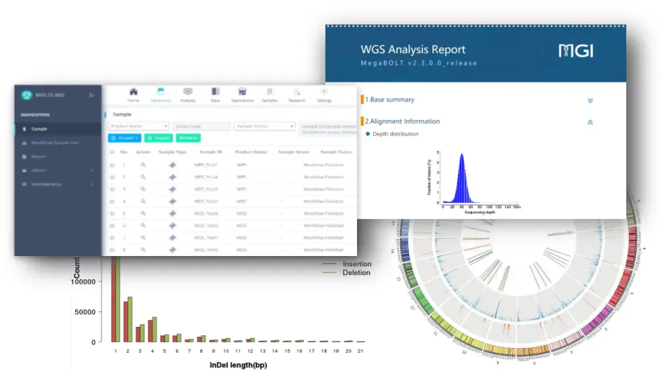 NGS技术：如何一小时完成WGS全基因组数据分析_ngs数据分析软件-CSDN博客