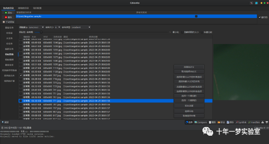 【工具】文件去重软件Czkawka-CSDN博客