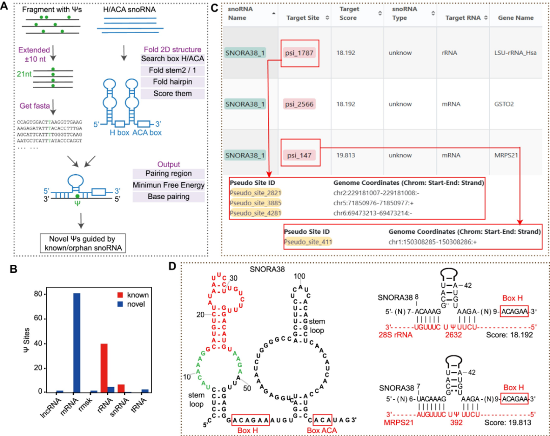 NAR｜中山大学杨建华/屈良鹄团队发表RMBase v3.0平台：解码RNA修饰图谱、机制和功能...-CSDN博客