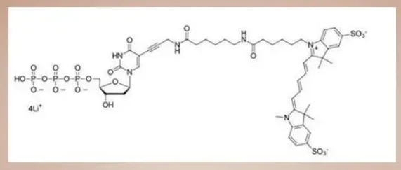 一种活性染料，sulfo-Cyanine5 dUTP，Sulfo-Cy5 dUTP，常用于DNA和RNA的染色和检测-CSDN博客