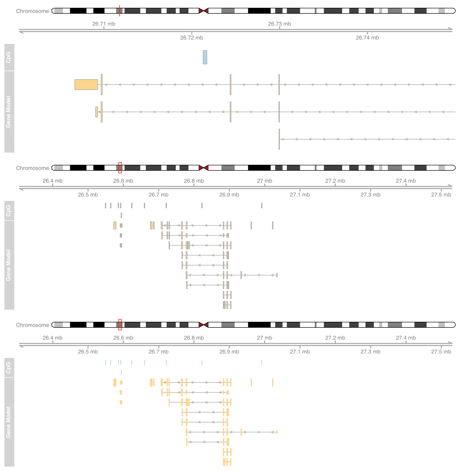 Use GVIZ package to achieve genome data visualization - Programmer Sought