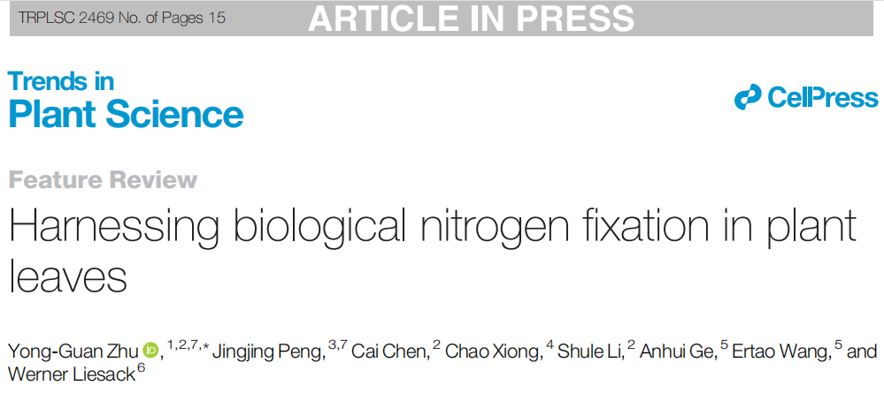 Trends Plant Sci | 朱永官院士等综述植物叶片的生物固氮作用-CSDN博客