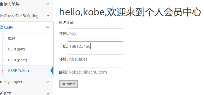 29.CSRF及SSRF漏洞案例讲解_csrf案例-CSDN博客