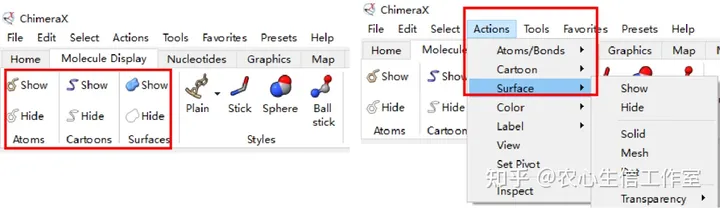 超实用！用ChimeraX对AlphaFold 结果可视化（中）: 蛋白结构美化篇-CSDN博客