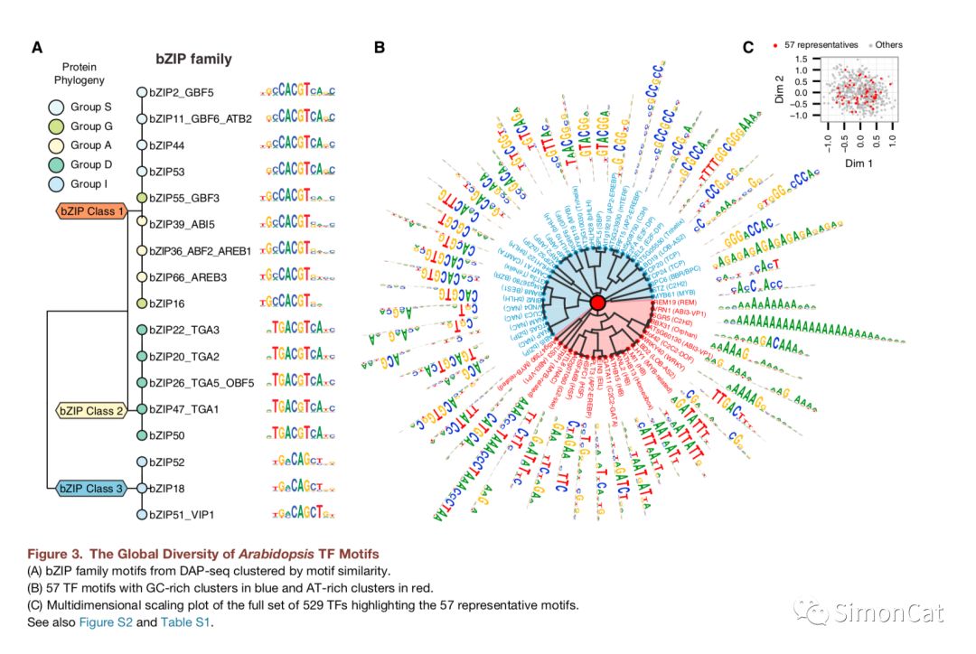 MotifStack：多motif序列比较和可视化-CSDN博客