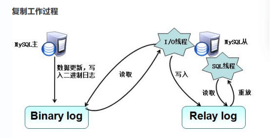 Mysql主从复制和备份数据库主从备份 Csdn博客 