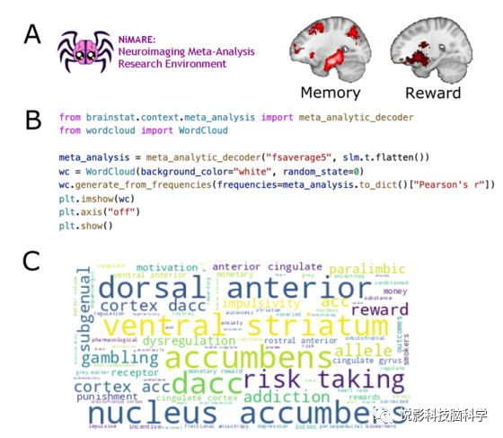 BrainStat：一个用于全脑统计和多模态特征关联的工具箱-CSDN博客