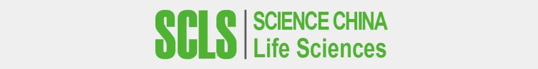SCLS | 山大刘双江组基于网络构建和配对共培养研究肠道微生物之间相互作用-CSDN博客