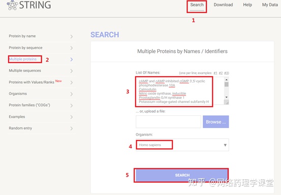 string 包含_STRING数据库在网络药理学研究中的应用详解-CSDN博客
