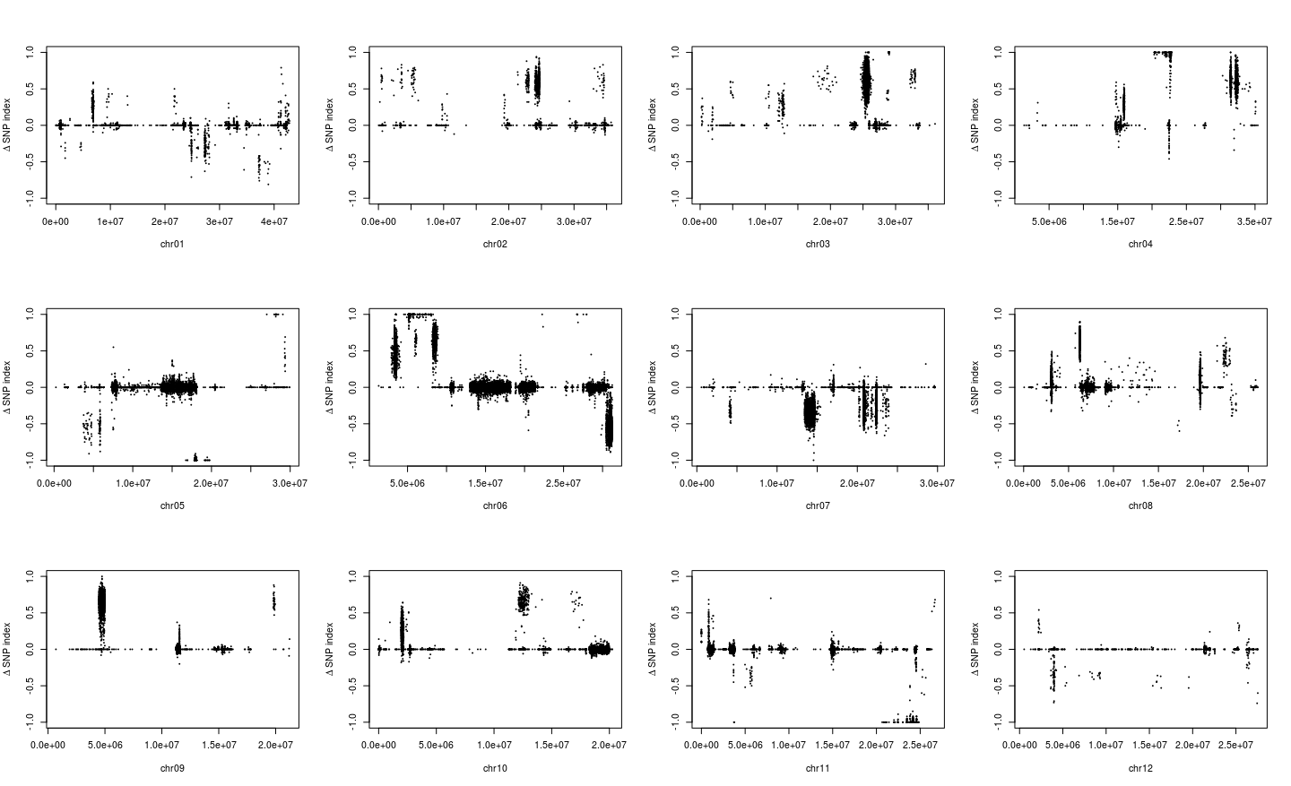 如何使用BSA方法进行遗传定位（水稻篇）-CSDN博客