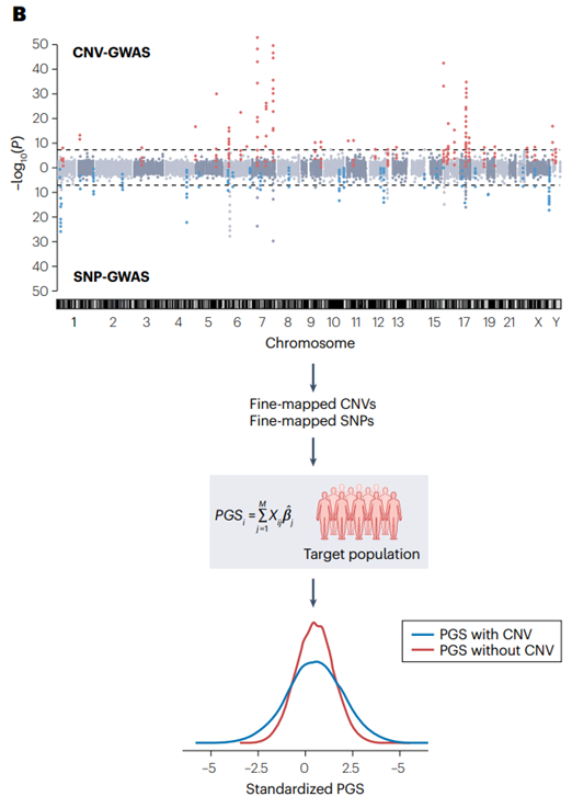 nature reviews genetics | 填补SNP研究空白，CNV-GWAS推动遗传变异全景构建_genome-wide ...