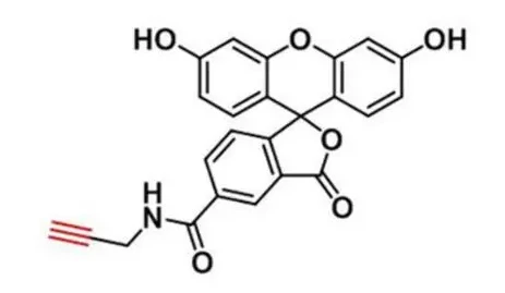 5-FAM Alkyne，510758-19-7，5-羧基荧光素-炔基，可成为理想的生物探针-CSDN博客