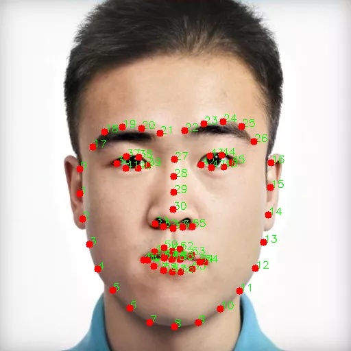 wflw数据集_人脸关键点检测的数据集与核心方法发展综述-CSDN博客