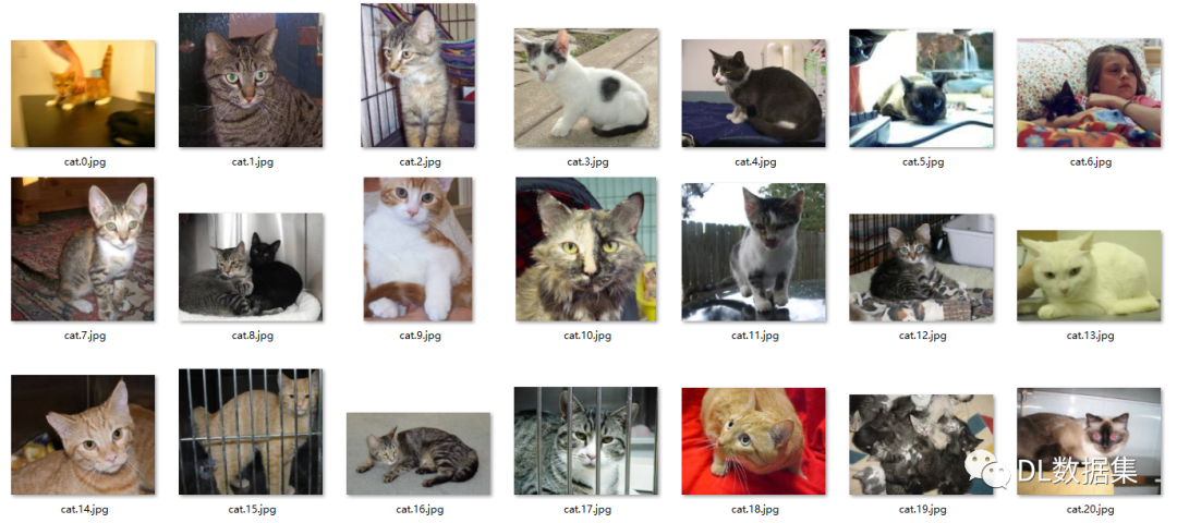 Dogs vs. Cats数据集-CSDN博客