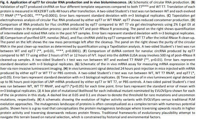 Science正刊｜蛋白质语言模型EVOLVEpro实现快速的定向进化-CSDN博客