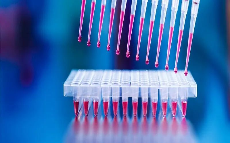 一文读懂：PCR，qPCR，Real-time PCR，RT-PCR和RT-qPCR_real-time quantitative reverse transcription pcr-CSDN博客