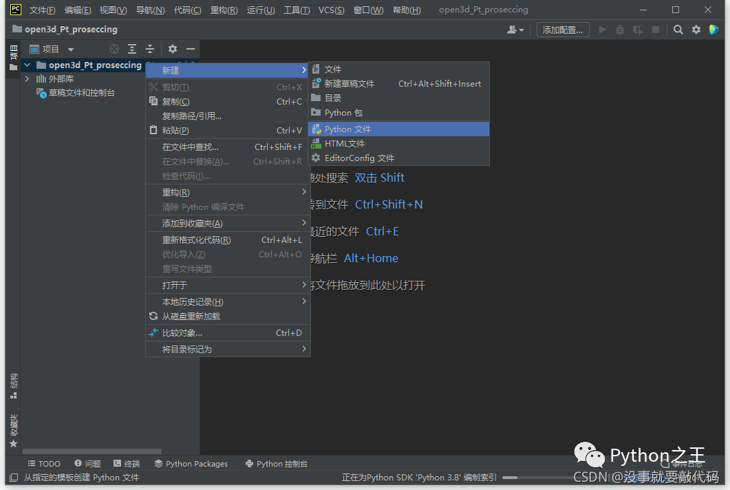 目标检测YOLO实战应用案例100讲-Open3D 点云数据处理基础（Python版））-目前最详细版_yolo和点云-CSDN博客