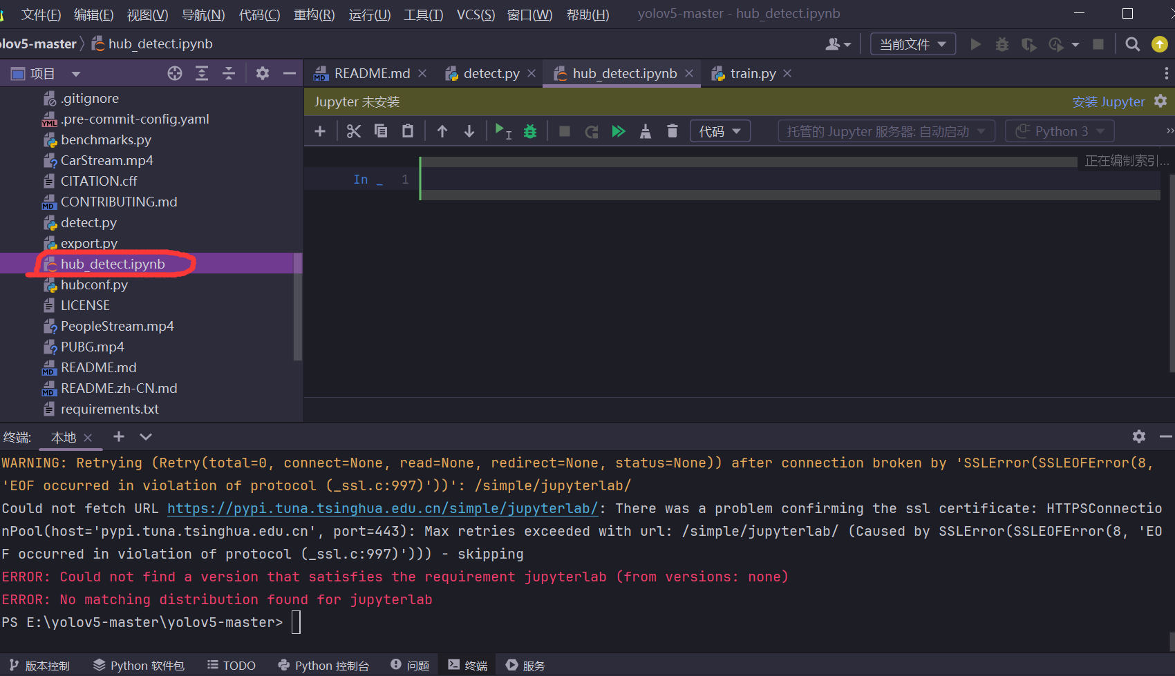 从零开始安装并运行YOLOv5_yolov5安装详解-CSDN博客