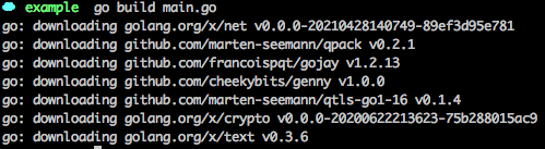 基于quic-go的quic测试和示例代码分析-CSDN社区