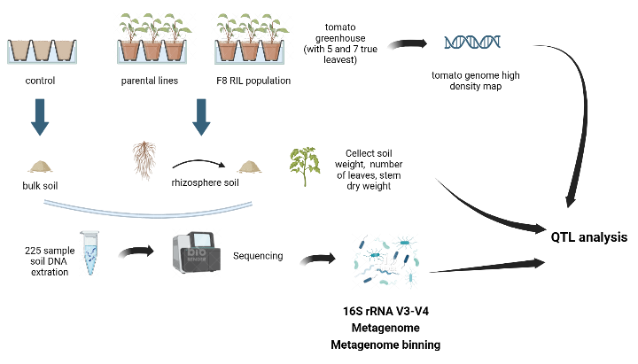 宿主基因组-微生物关联（mGWAS）新思路！-CSDN博客