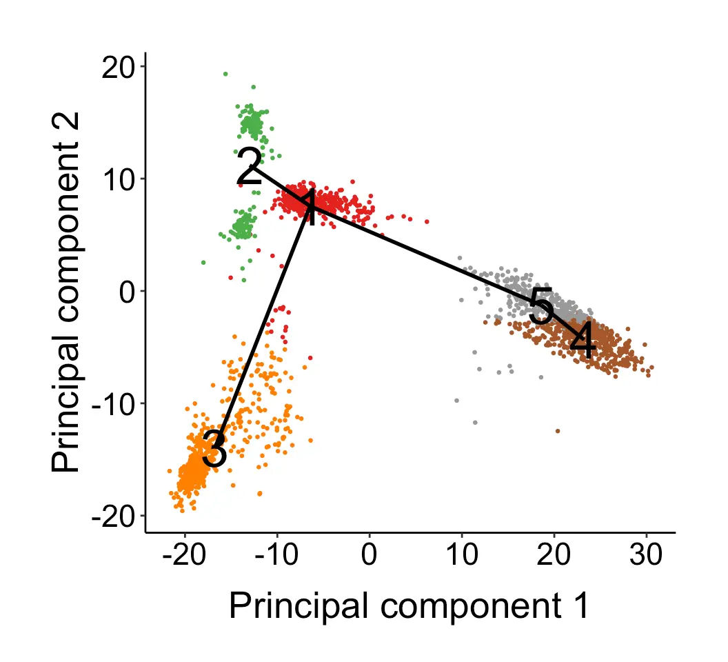 10X单细胞（10X空间转录组）多样本基因表达动态分析之Lamian_umap上同时展示两个基因并计算占比-CSDN博客