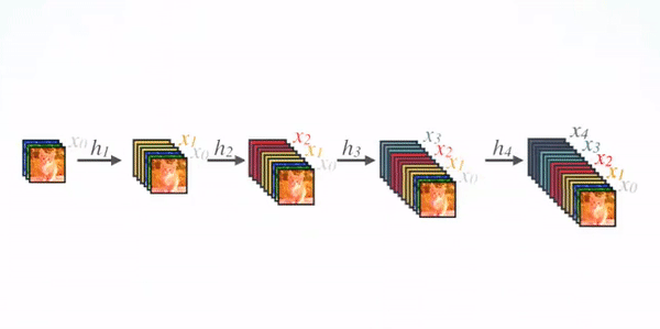 densenet网络结构_【论文解读+代码实战】CNN深度卷积神经网络-DenseNet-CSDN博客