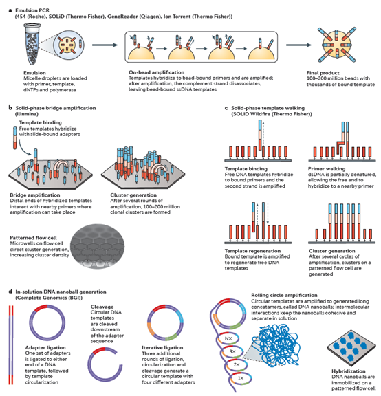 NGS测序分类二三代_ngs分类-CSDN博客