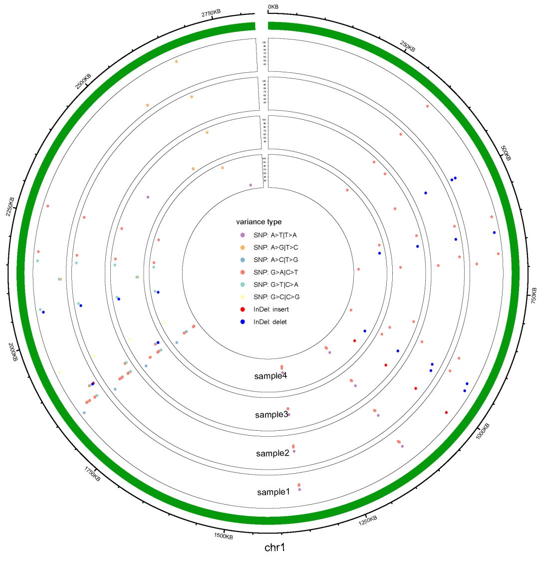 txt 插入特定列_R语言 | R包circlize绘制特定SNP、InDel位点标识的基因组圈图-CSDN博客