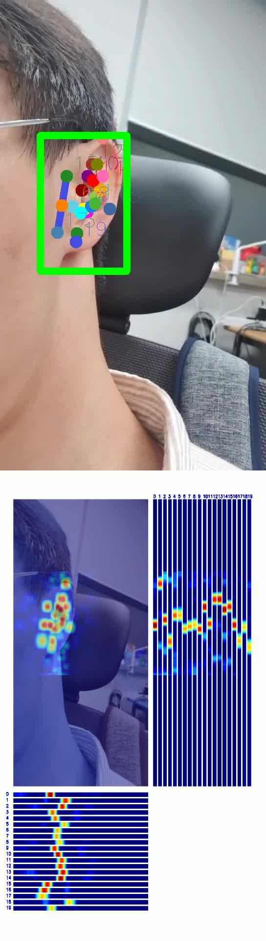 【七班】MMPose代码实践与耳朵穴位数据集实战-CSDN社区