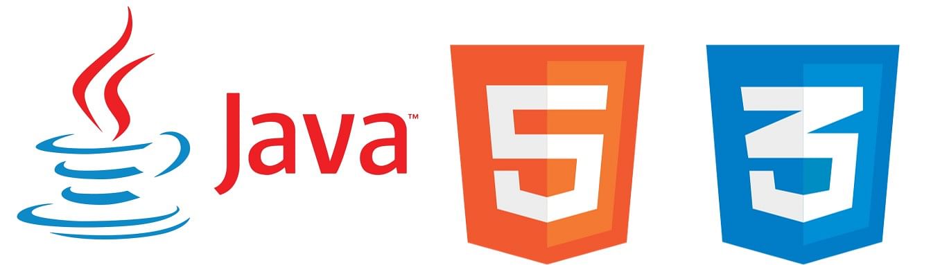 2024年面向初学者的25大Java项目创意_2024java项目-CSDN博客