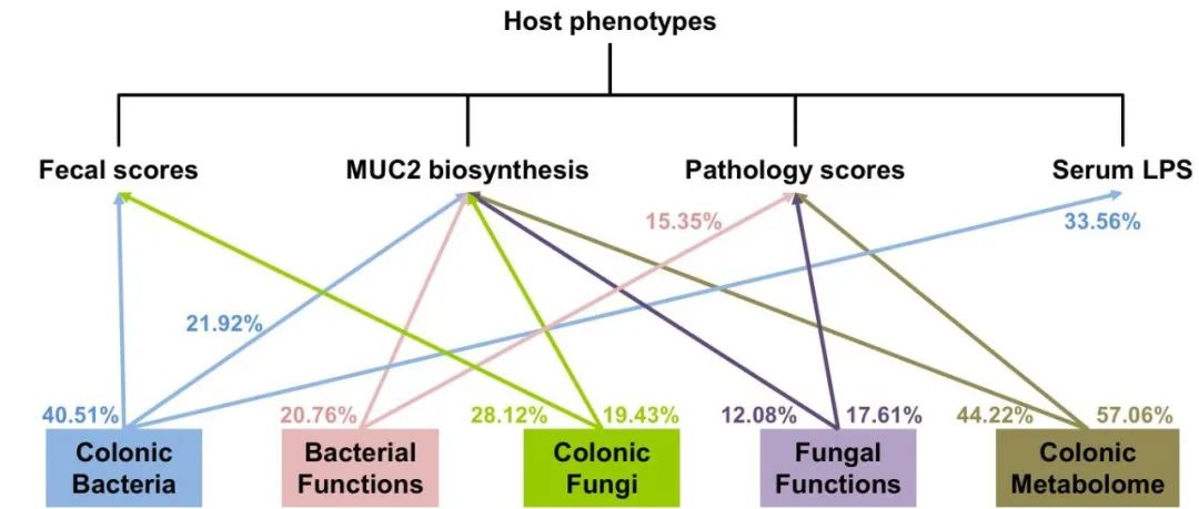 Microbiome | 西北农林科技大学姚军虎团队解析青年奶山羊结肠微生态失调的潜在机制...-CSDN博客