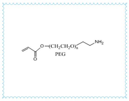 Acryloyl PEG amine，AC-PEG-NH2，丙烯酰聚乙二醇氨基，异双功能PEG衍生物，用于修饰蛋白质、肽和其他材料-CSDN博客