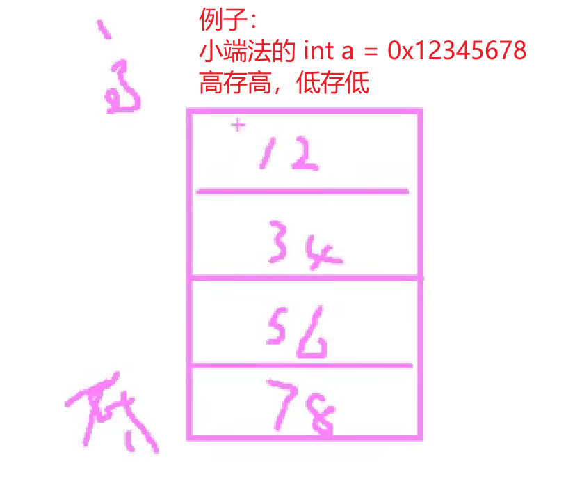 黑马程序员 | Linux网络编程 | 学习笔记_linux网络编程黑马程序员-CSDN博客