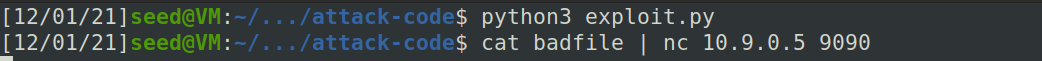 Format_String_Attack_Lab_format string attack-CSDN博客